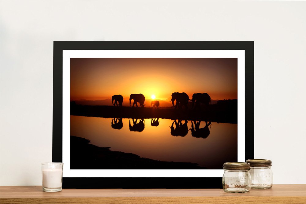 Sunset Elephants Photo on Canvas | Canvas Prints Perth