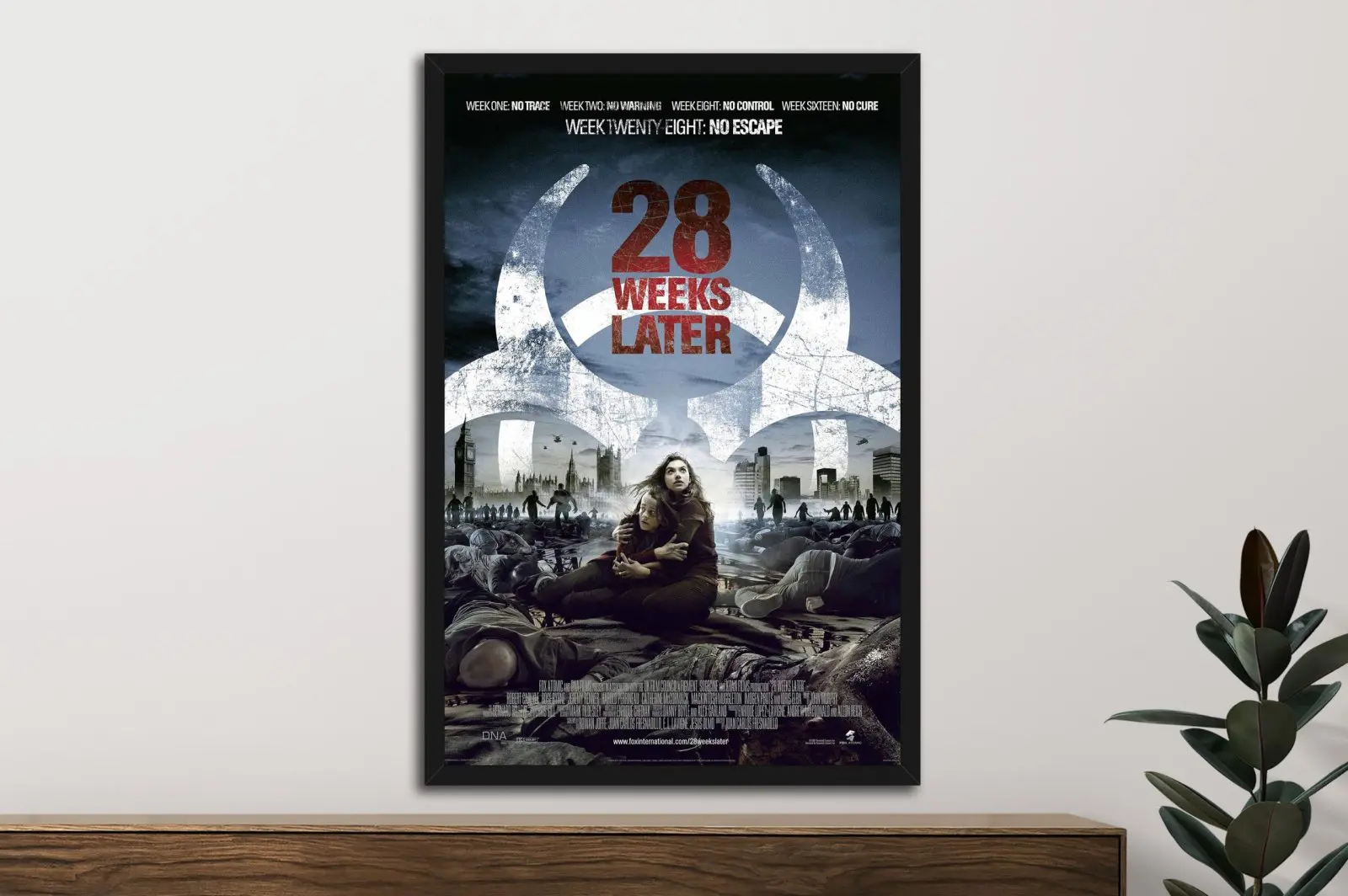28 Weeks Later Ready to Hang Film Poster | Canvas Prints Perth